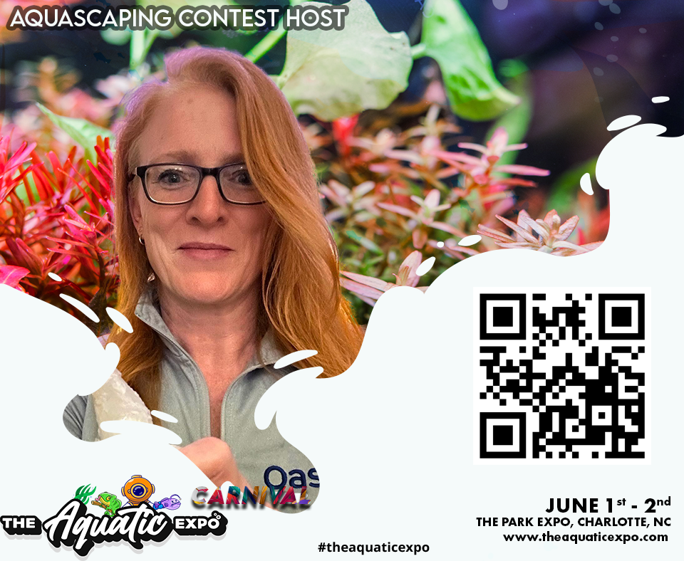 TAE Freshwater Aquascape Contest - The Aquatic Expo